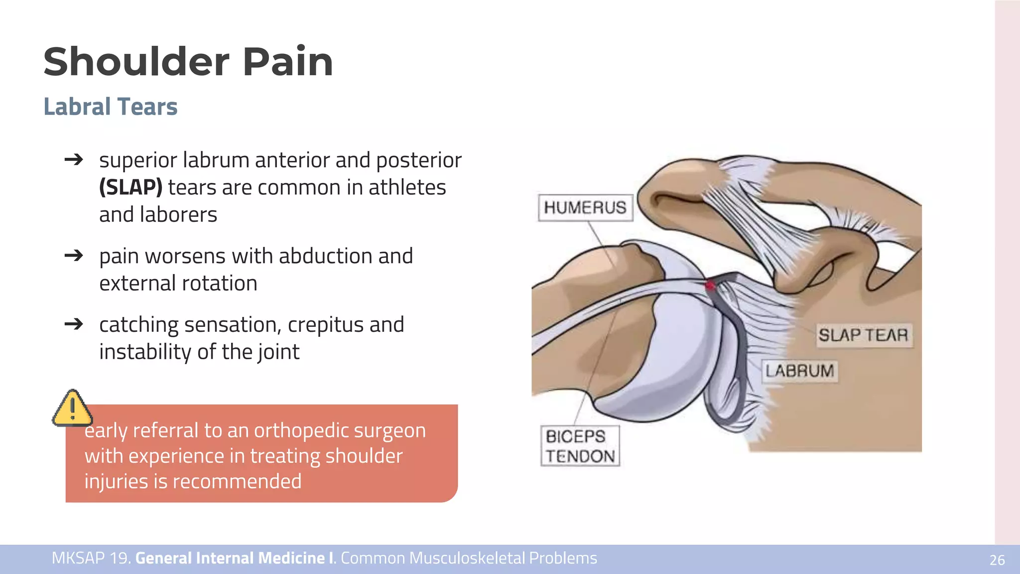 Common Musculoskeletal Problems.pptx