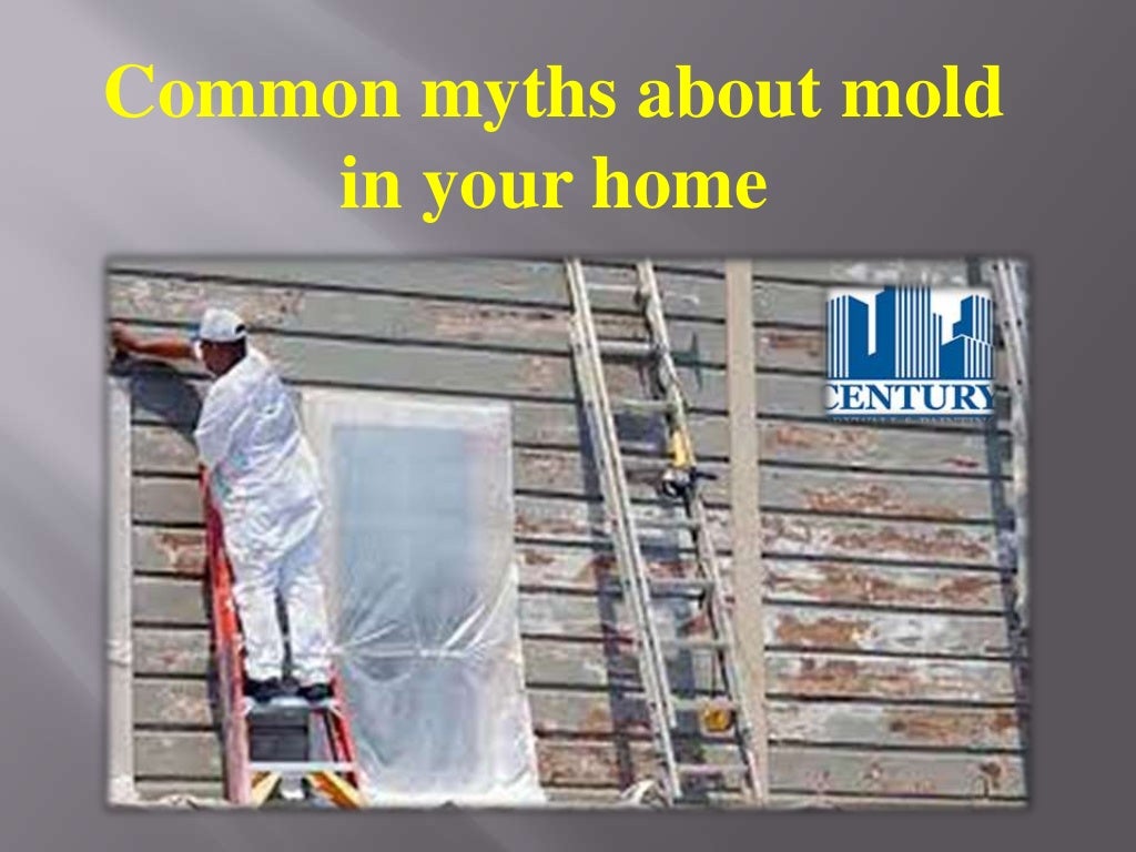 Common myths about mold in your home.pptx