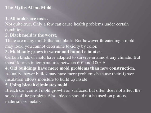 Common myths about mold in your home.pptx