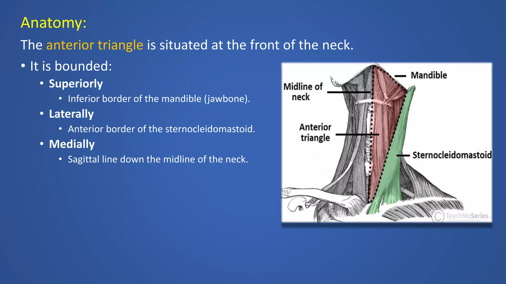 Common neck swellings | PPTX