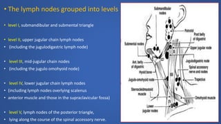 Common neck swellings | PPTX
