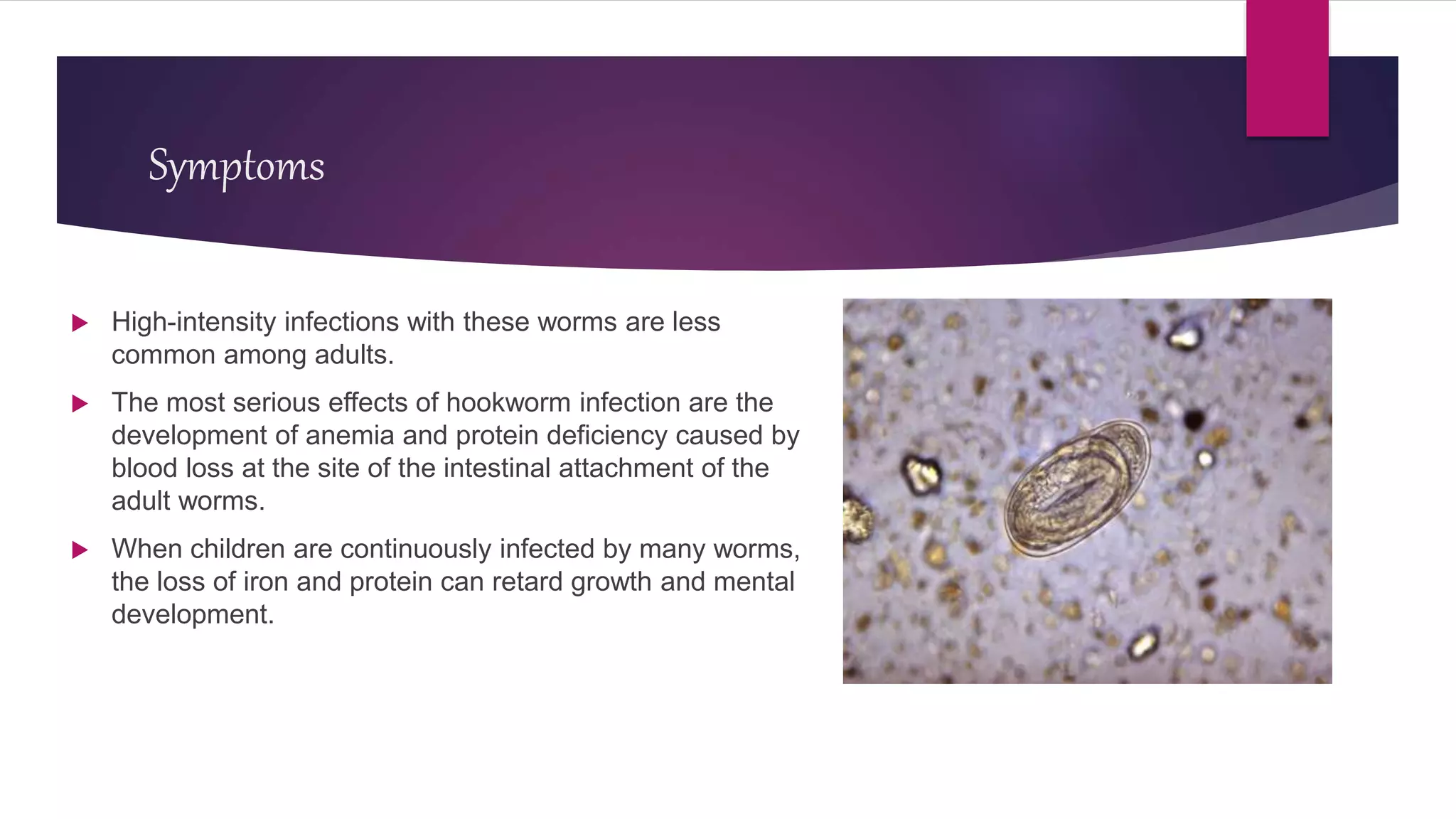 common nematode pathogens.pptx