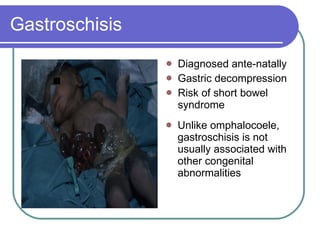 Neonatal Problems | PPT | Pregnancy | Reproductive Health