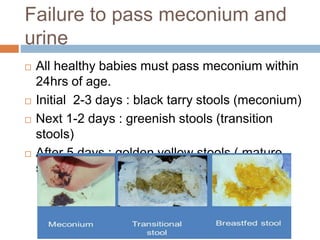COMMON NEONATAL PROBLEMS.pptx