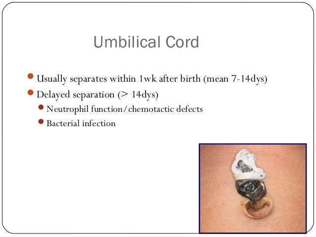 Common neonatal skin problems