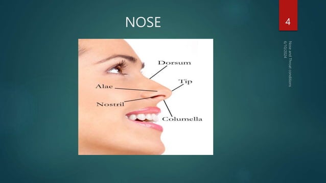 Common Nose and Throat Conditions for ENT class.pptx | Ear, Nose and ...