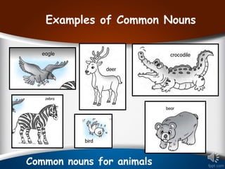 Common Nouns | PDF