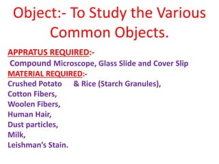 Various Coomon Object Demonstration Pppt | PPTX