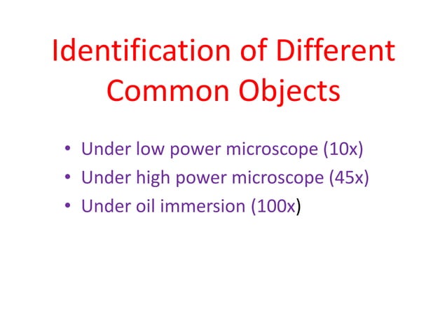 Various Coomon Object Demonstration Pppt | PPT | Free download