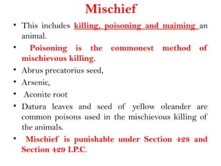 Common_offences_against_animals_in_India.pptx