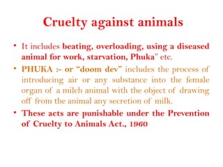 Common_offences_against_animals_in_India.pptx