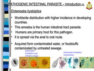 Common parasites of military importance | PPT