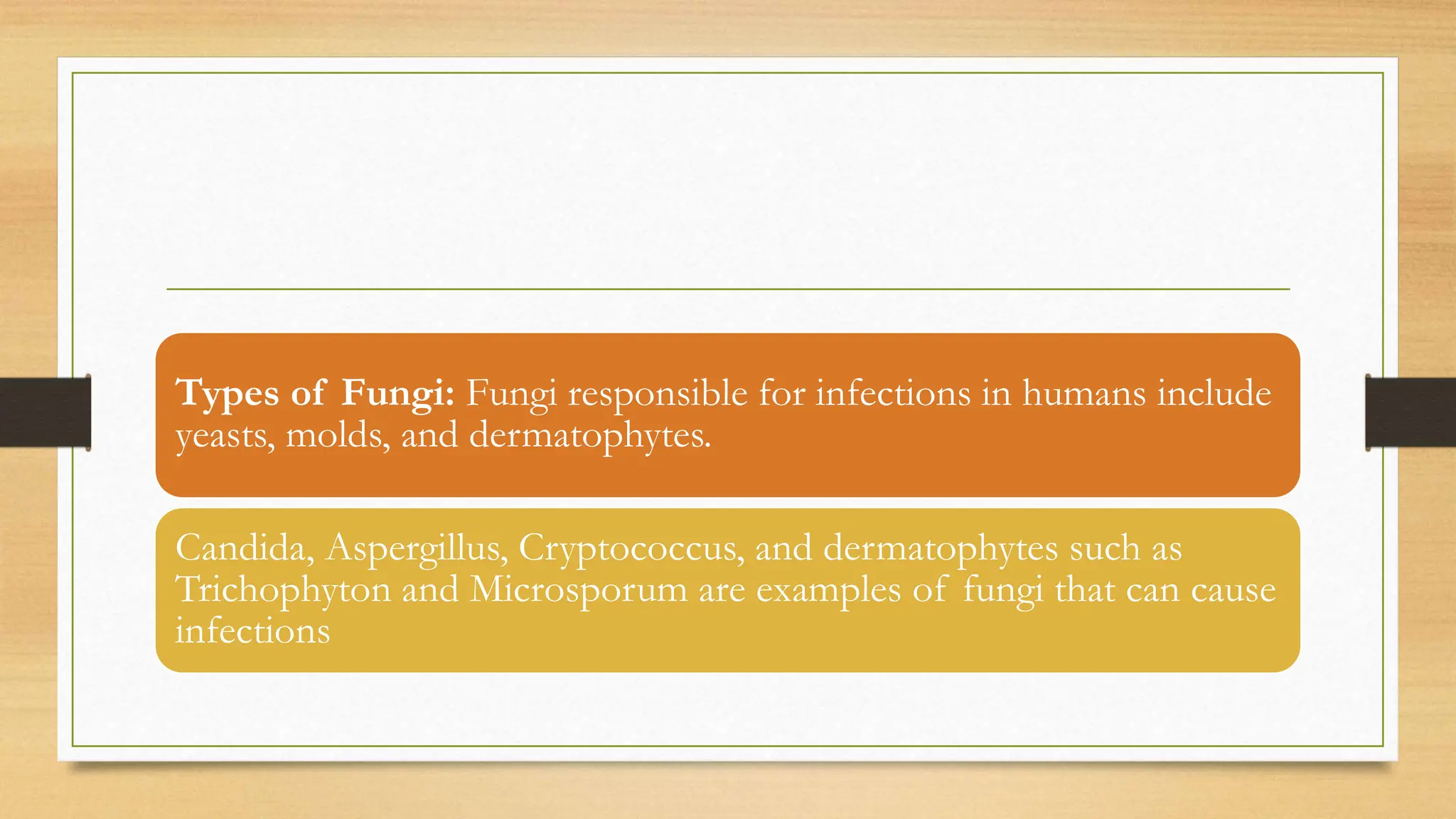 COMMON PATHOGENIC FUNGI OF SKIN INFECTION ppt | PPTX