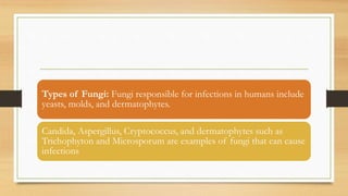 COMMON PATHOGENIC FUNGI OF SKIN INFECTION ppt | PPTX