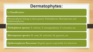 COMMON PATHOGENIC FUNGI OF SKIN INFECTION ppt | PPTX
