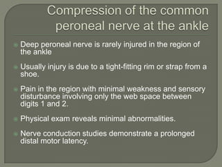 Common peroneal nerve lesions | PPTX