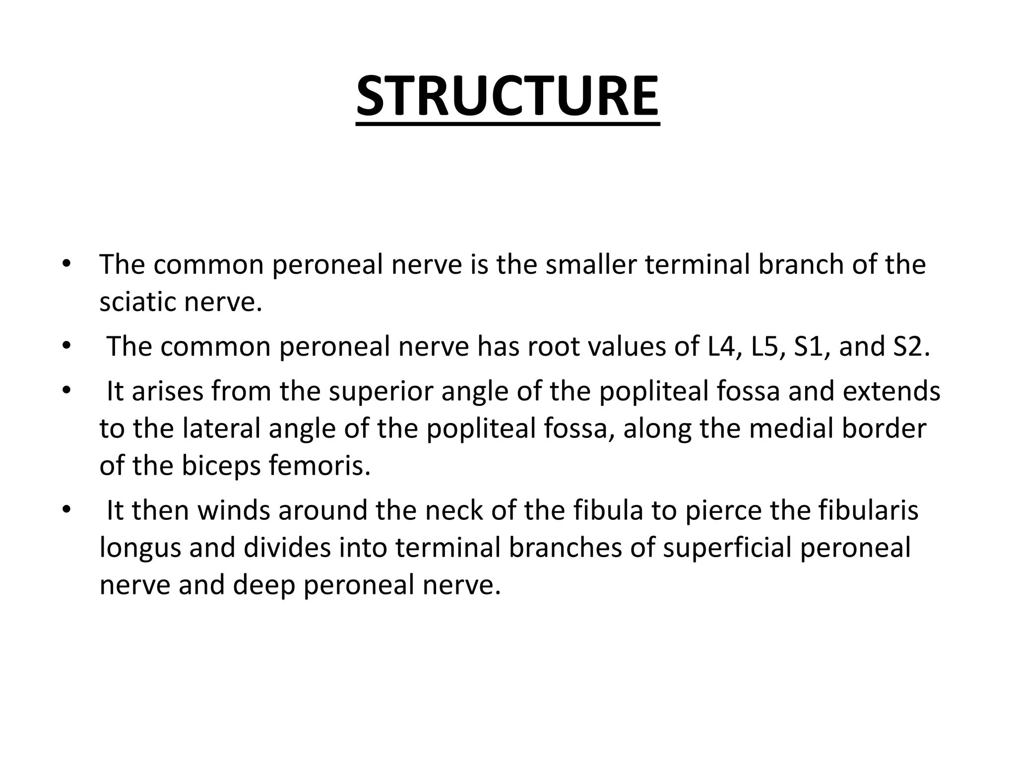 COMMON PERONEAL NERVE PALSY.pptx full ppt | PPTX