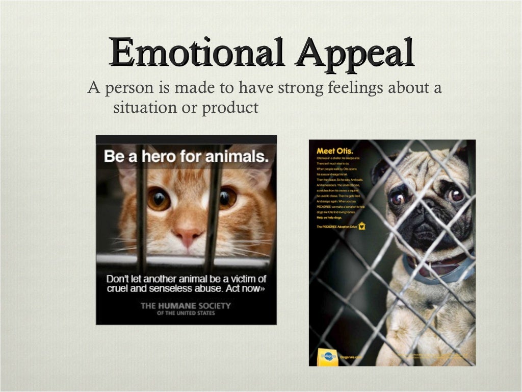 Persuasive Techniques In Advertising