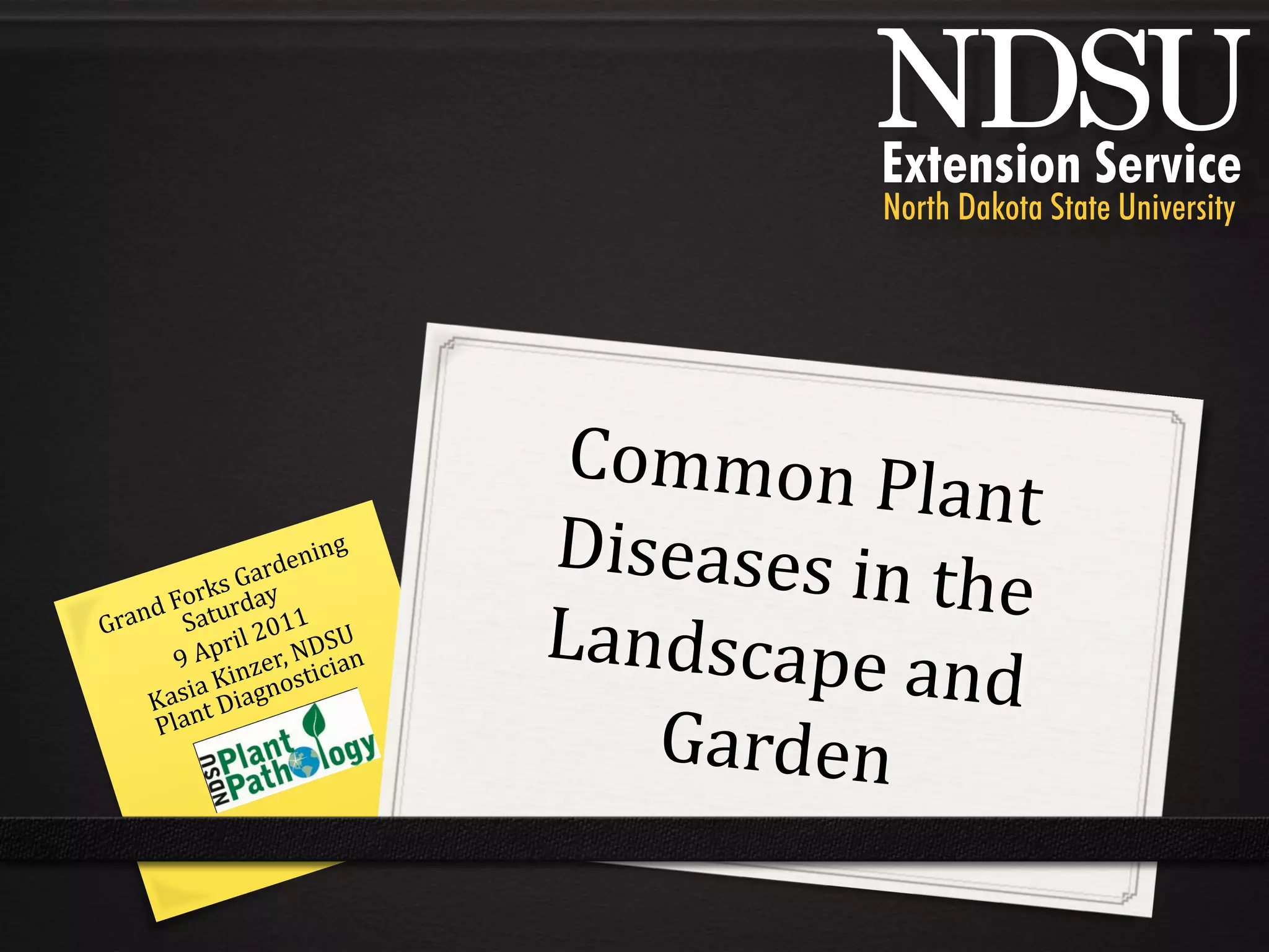 Common Plant Diseases And Treatments Ppt