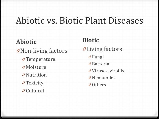 Common Plant Diseases and Treatments