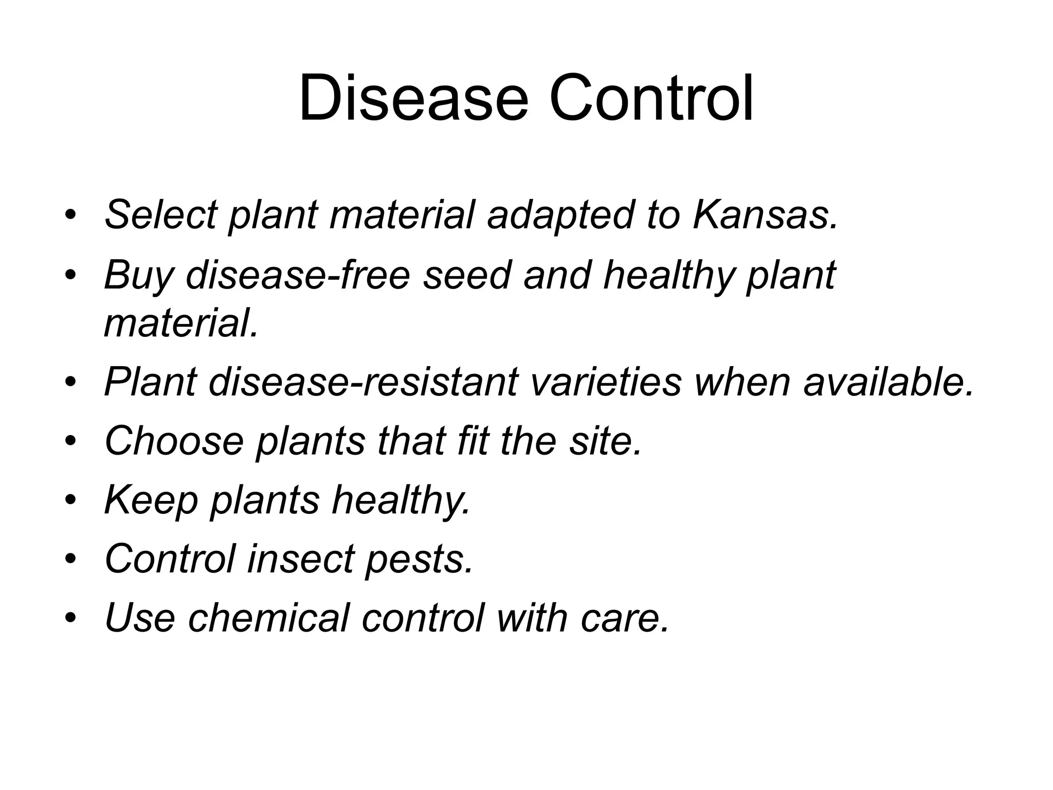 Common Plant Diseases.ppt