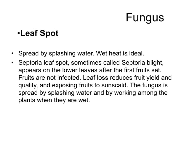 Common Plant Diseases.ppt