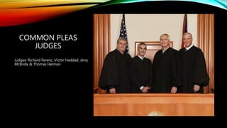 Common Pleas Summary | PPTX