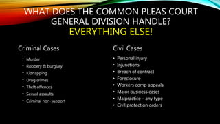 Common Pleas Summary | PPTX