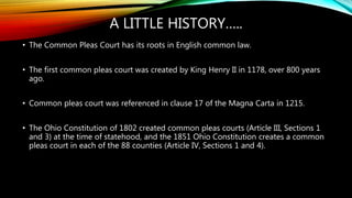 Common Pleas Summary | PPTX