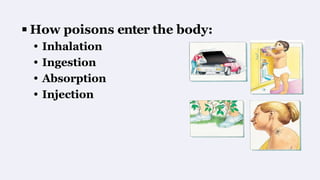 Common Poisoning organophosphorous Celphos | PPTX