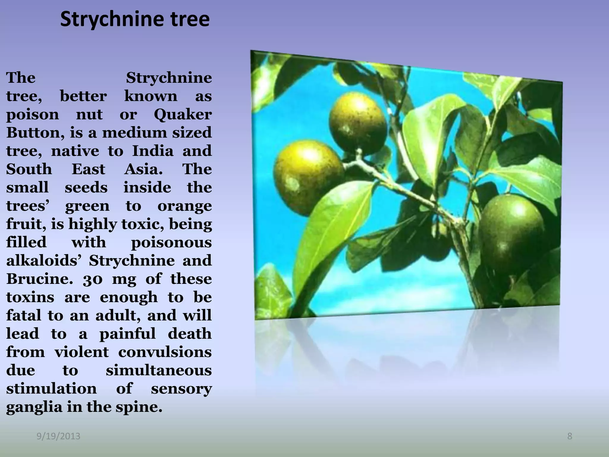 Common poisonious plant's & tree's | PPTX