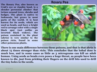 Common poisonious plant's & tree's | PPTX