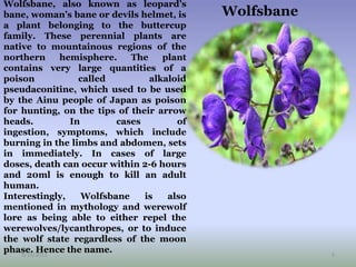 Common poisonious plant's & tree's | PPTX