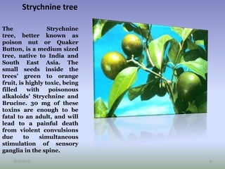 Common poisonious plant's & tree's | PPTX