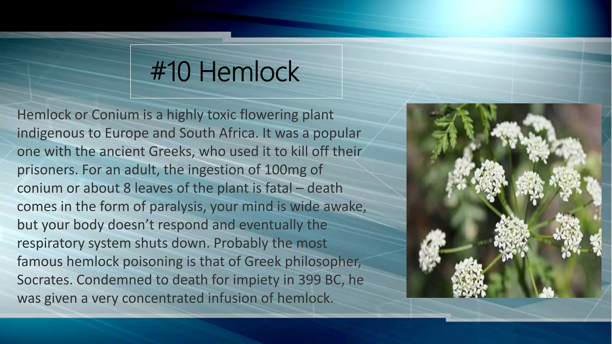 Common poisons used to kill people | PPT