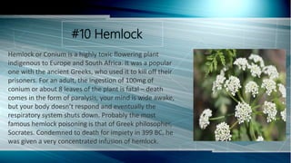 Common poisons used to kill people | PPTX