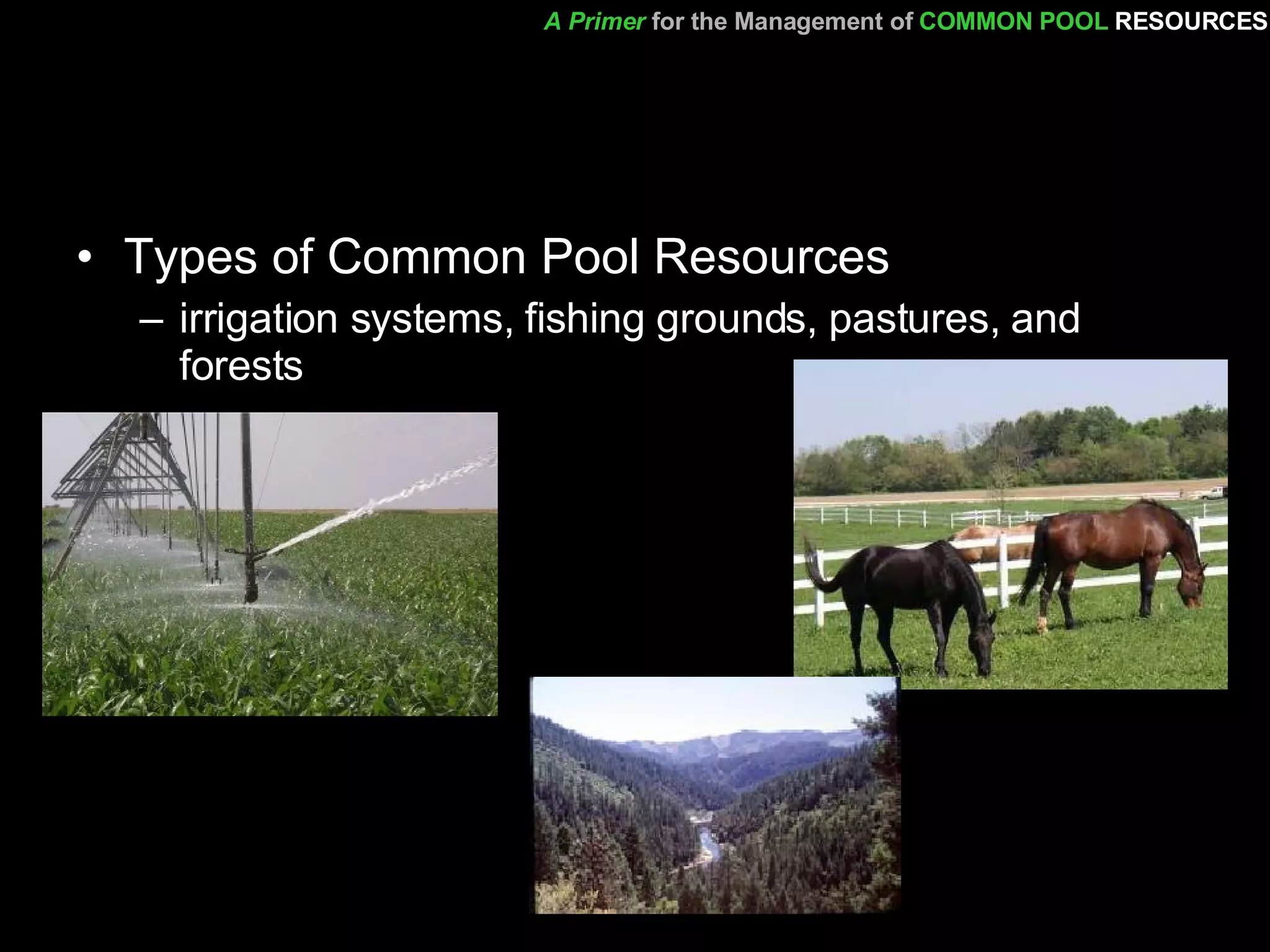 Common Pool Theory | PPT