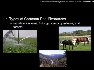 Common Pool Theory | PPT