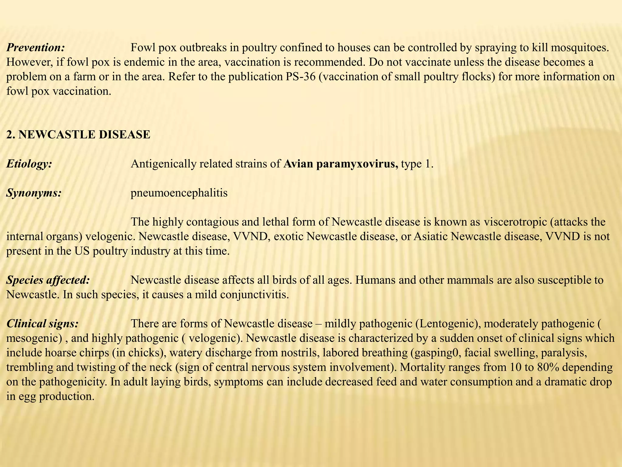 Common poultry disease ppt | PPTX