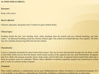 Common poultry disease ppt | PPTX