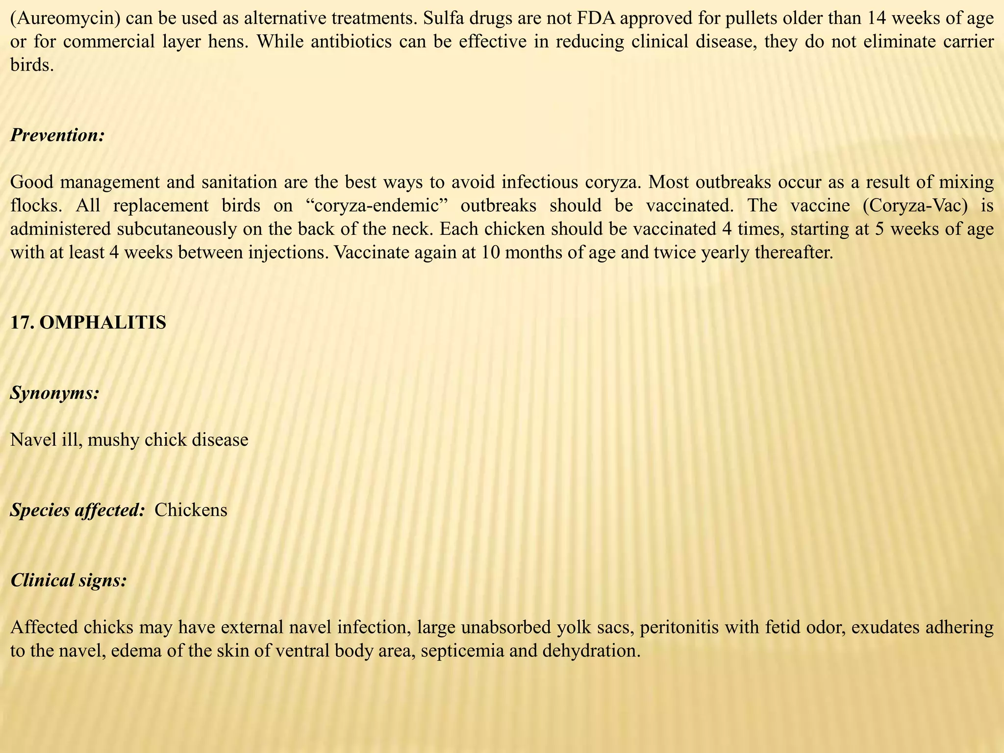 Common poultry disease | PPTX