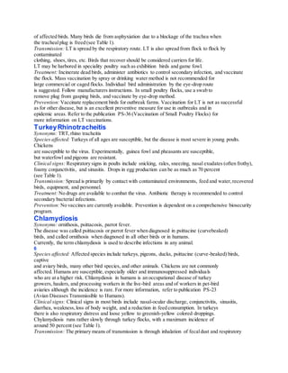 Common poultry diseases 1 | DOCX