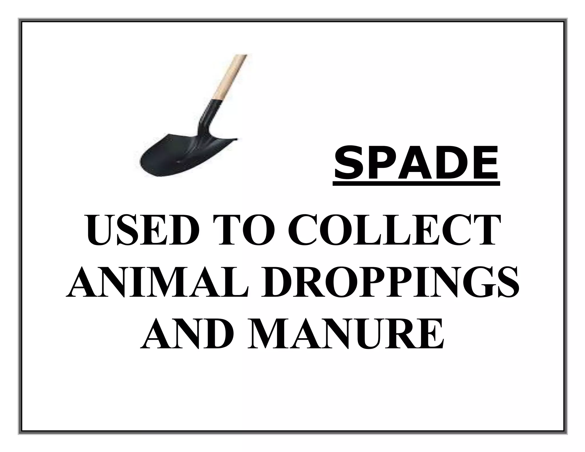 Common poultry farm tools | DOCX