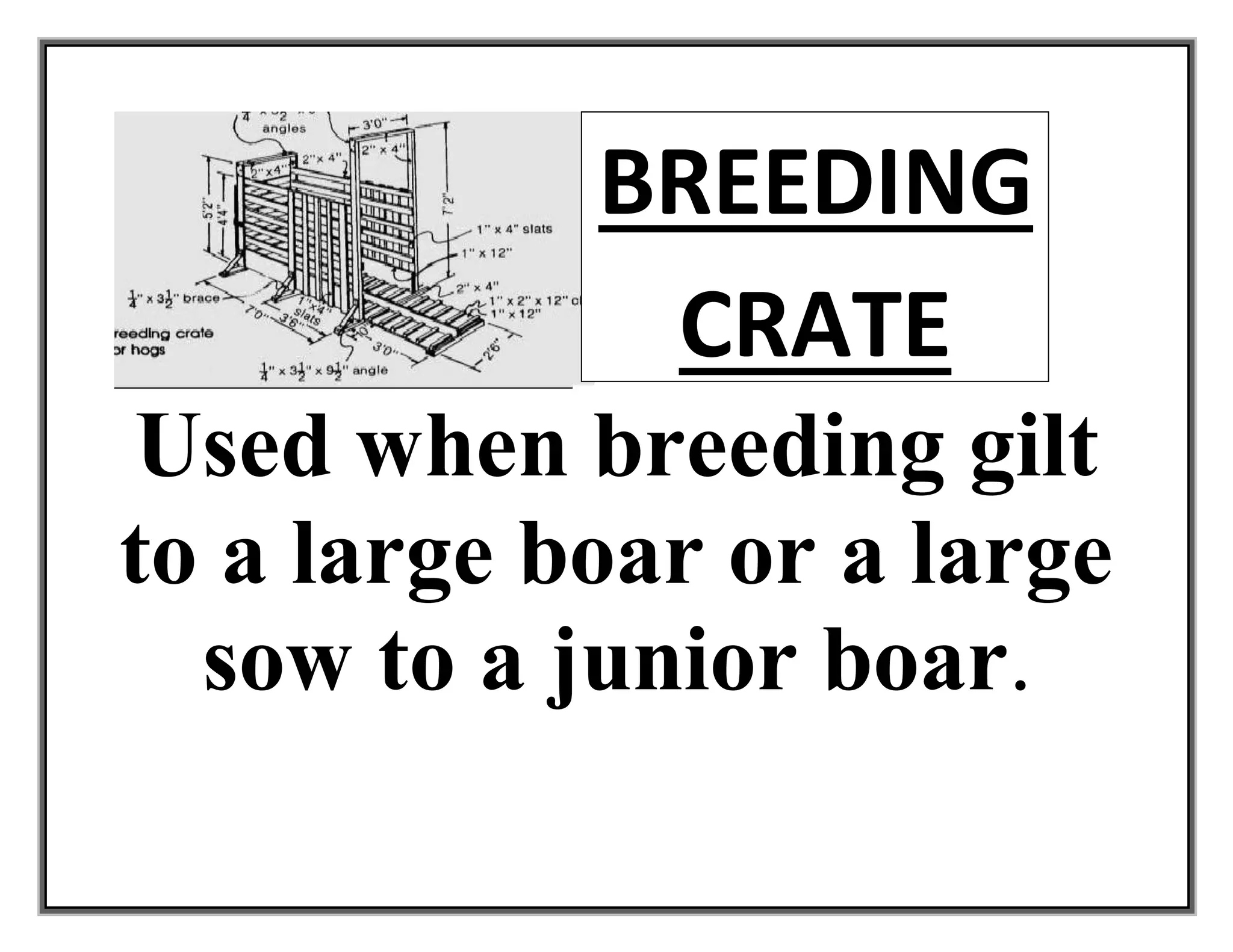 Common poultry farm tools | DOCX