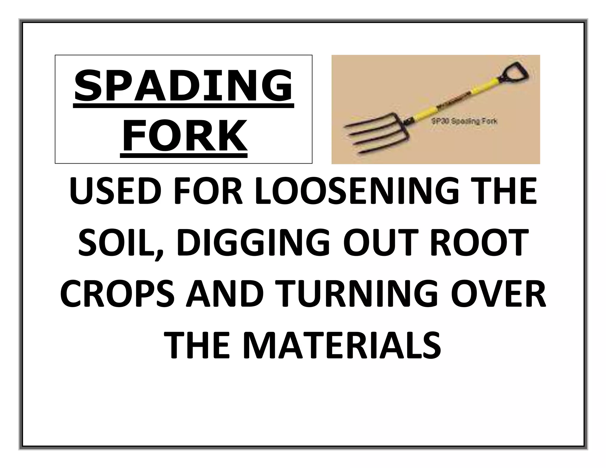 Common poultry farm tools | DOCX
