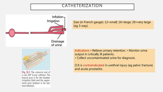 Common procedures in ward setting | PPTX | Death, Injury, or Military ...