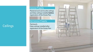 Common Property Basics | PPT