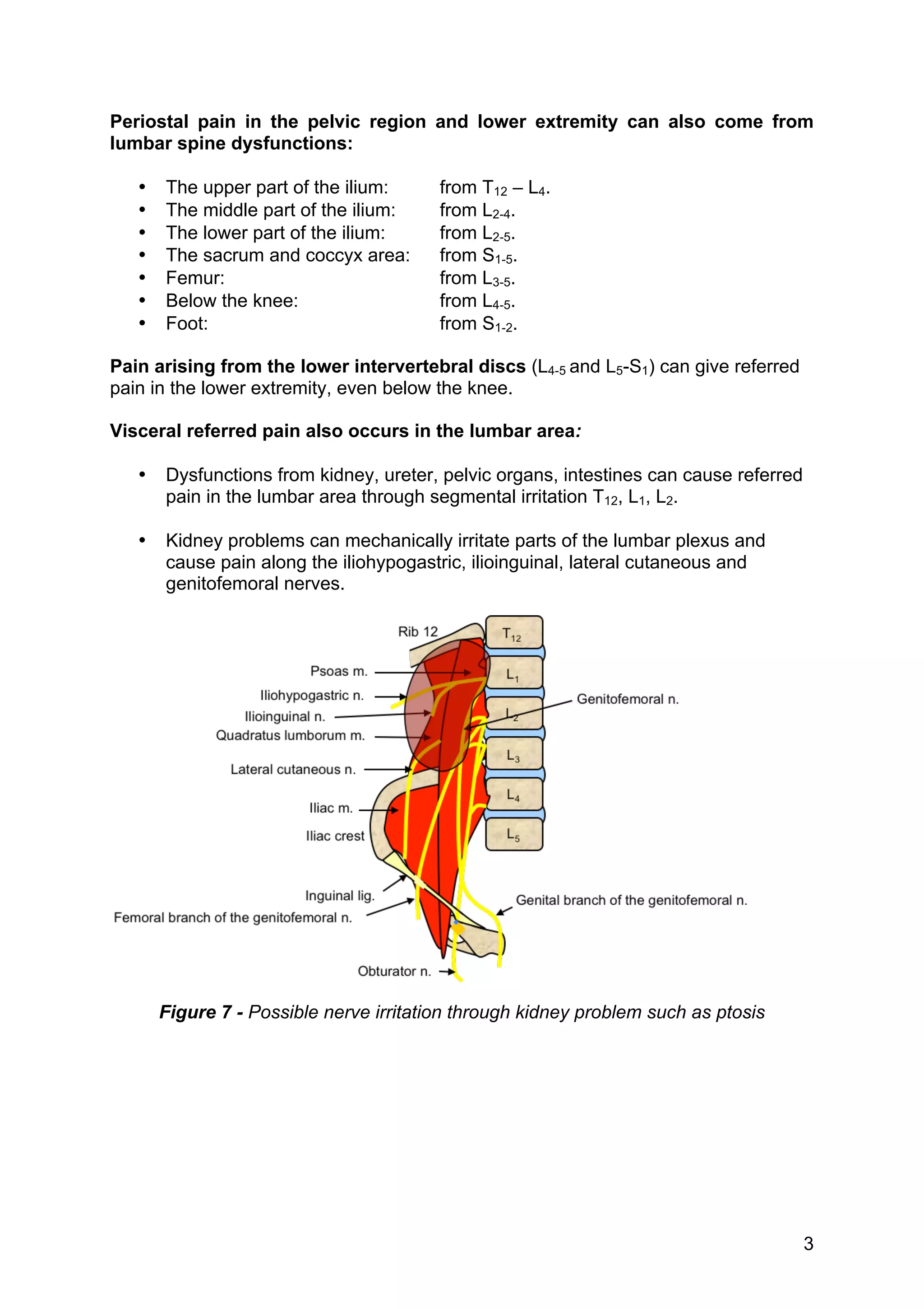 Common Referred Pain Patterns – Low Back | PDF