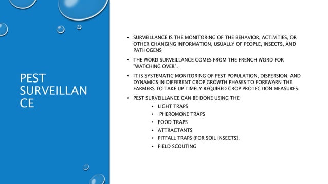 Common sampling techniques in insect pests | PPTX