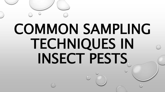 Common sampling techniques in insect pests | PPTX